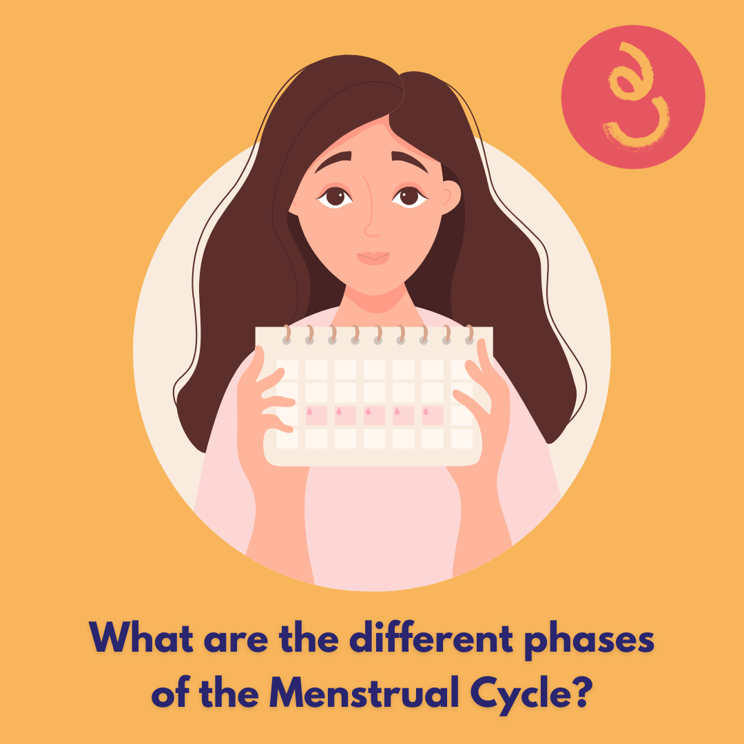 Menstrual Cycle | A Guide to the Phases of Menstrual Cycle